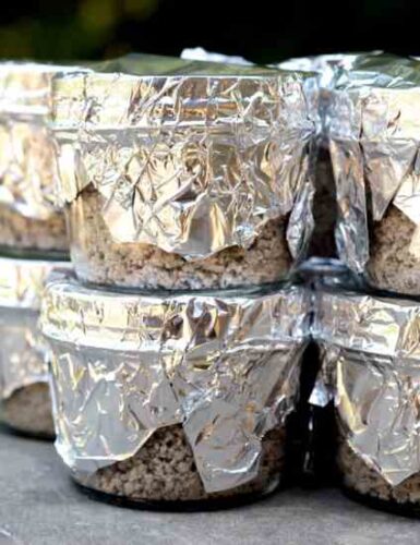 Growing Mushrooms at Home: The PF Tek Method – Mother Earth News